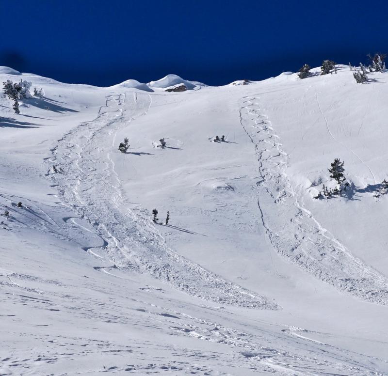 Observation: Cutler Ridge - Utah Avalanche Center