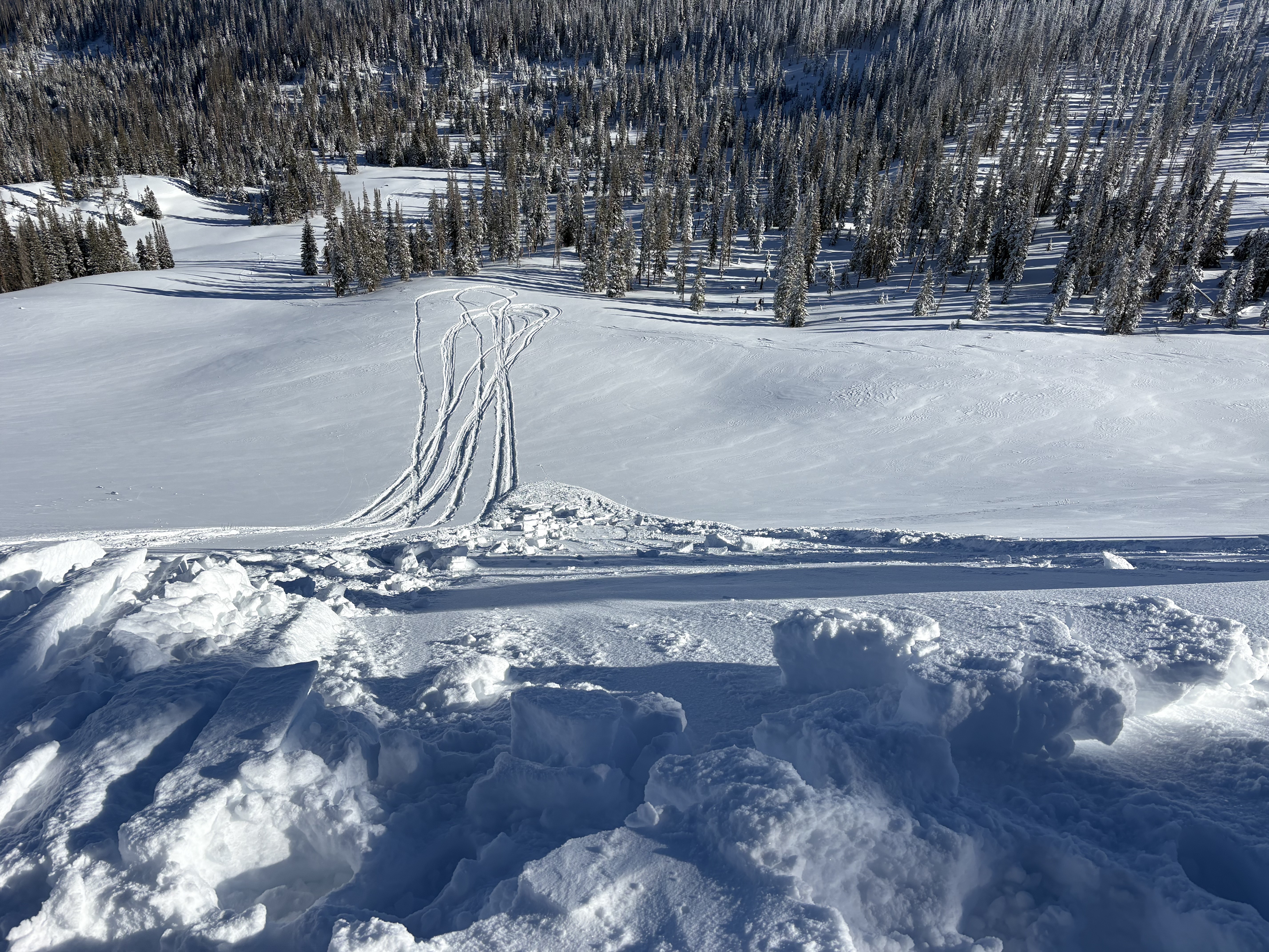 Avalanche: Shingle Mill - Utah Avalanche Center