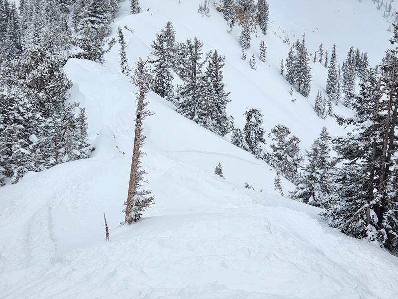 Avalanche: Two Trees - Utah Avalanche Center