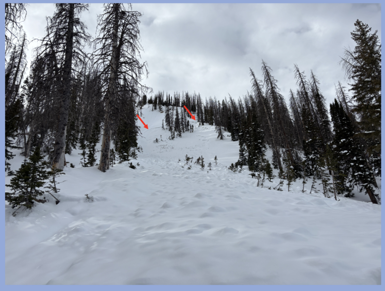 Avalanche: Chalk Creek - Utah Avalanche Center