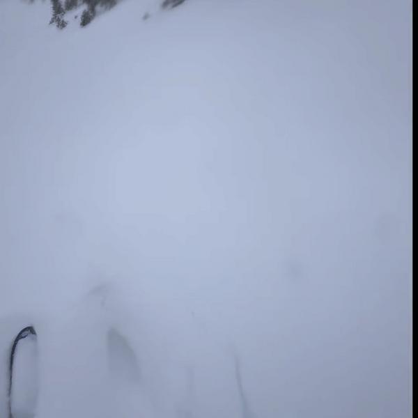 Avalanche: Millie Back Bowls - Utah Avalanche Center