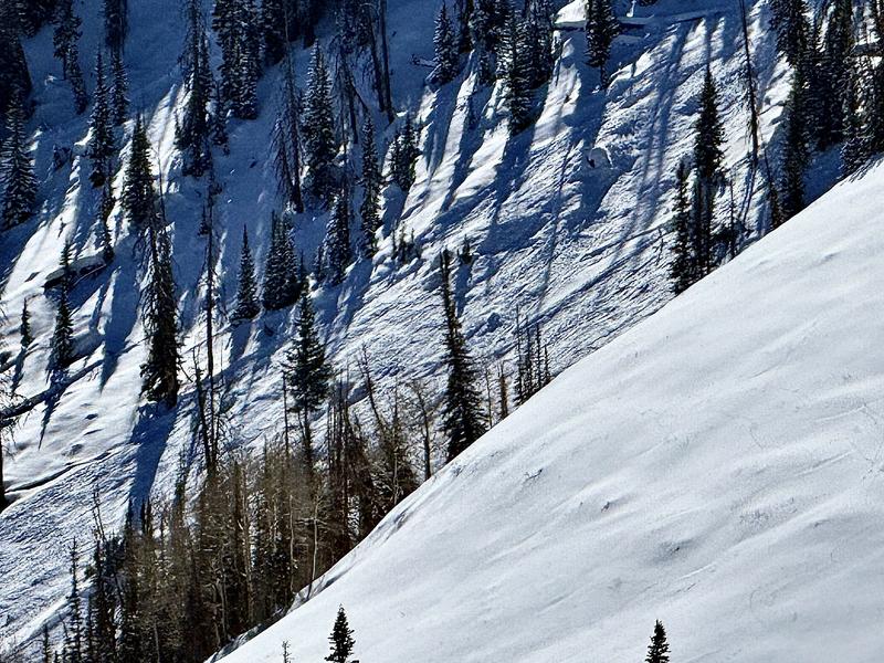 Avalanche: South Fork - Utah Avalanche Center