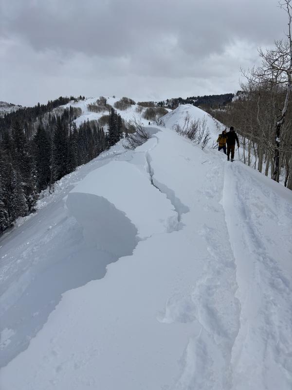 Avalanche: Little Water - Utah Avalanche Center