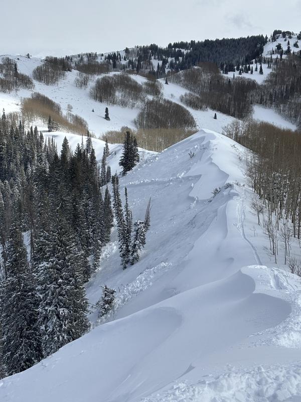 Avalanche: Little Water - Utah Avalanche Center