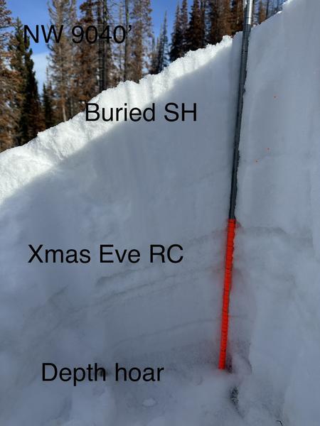 Observation: Mill Hollow Environs - Utah Avalanche Center