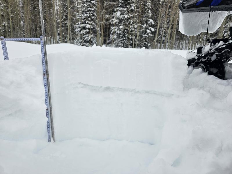 Observation: Monte Cristo - Utah Avalanche Center