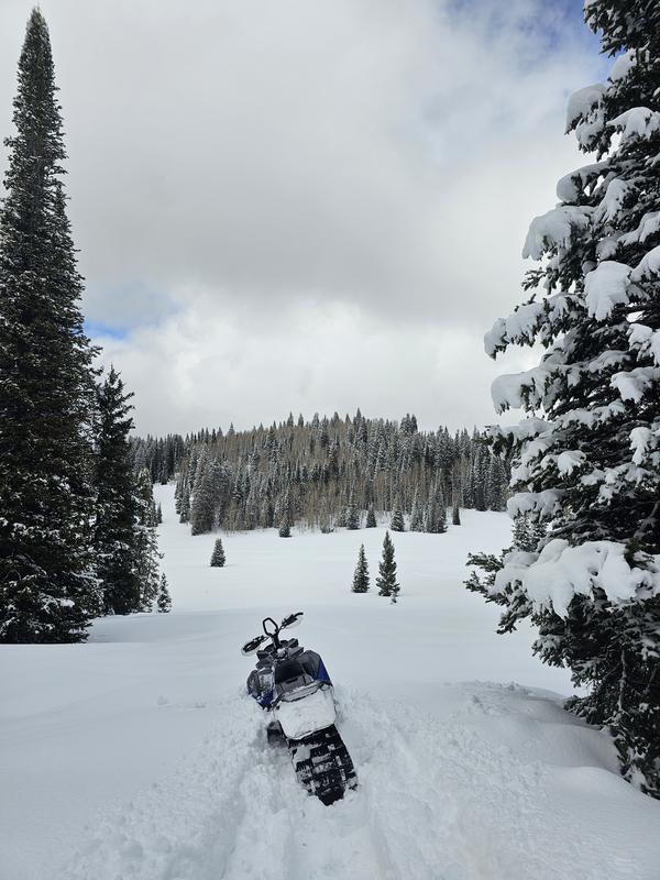 Observation: Monte Cristo - Utah Avalanche Center