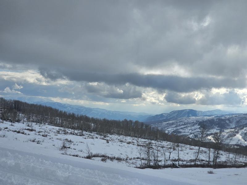 Observation: Monte Cristo - Utah Avalanche Center