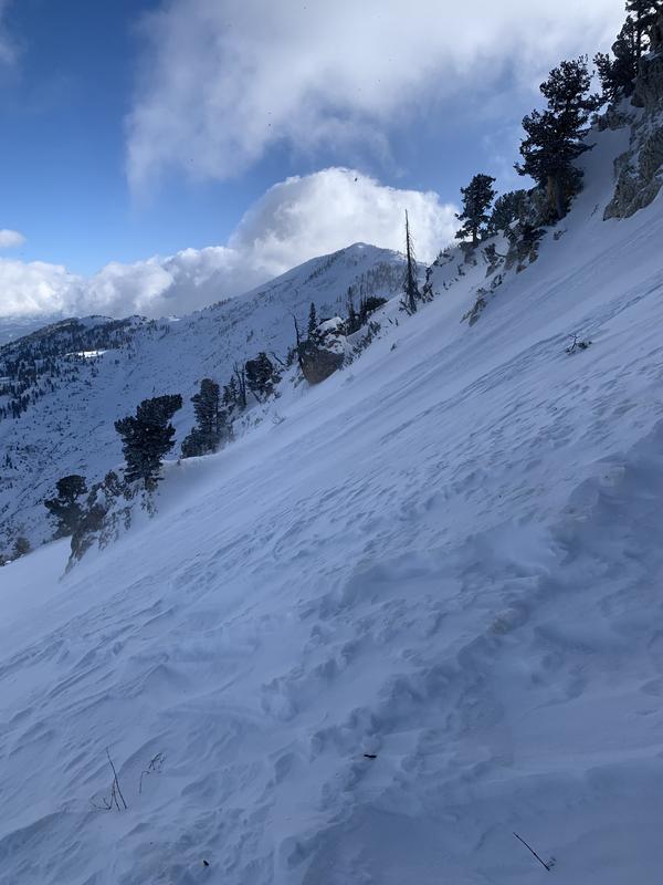 Observation: Willard Peak - Utah Avalanche Center