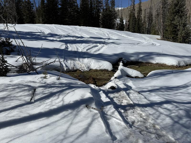 Observation: Spring Creek - Utah Avalanche Center