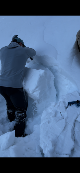 Observation: Taylor Canyon - Utah Avalanche Center