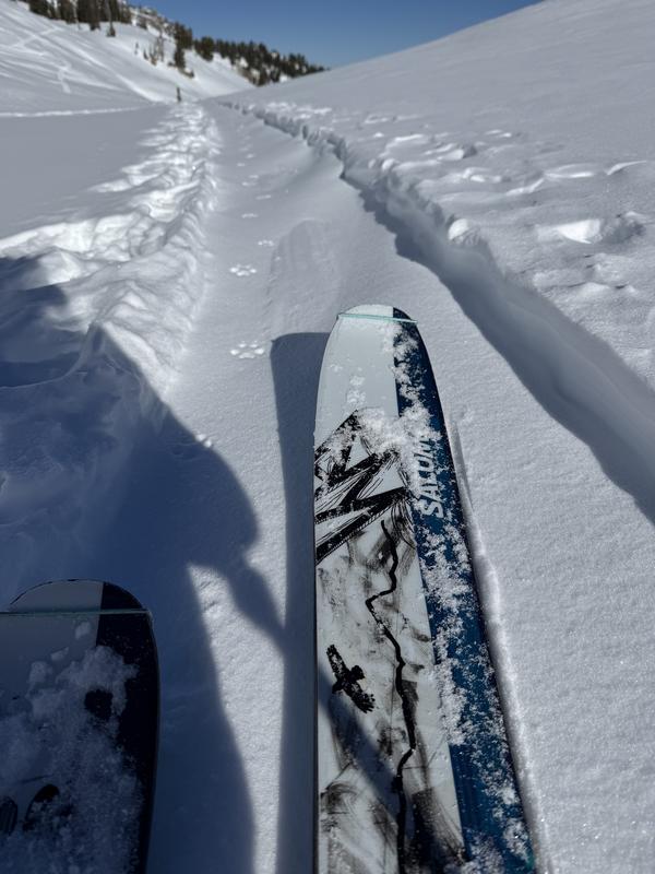Observation: Cardiff/Mineral - Utah Avalanche Center