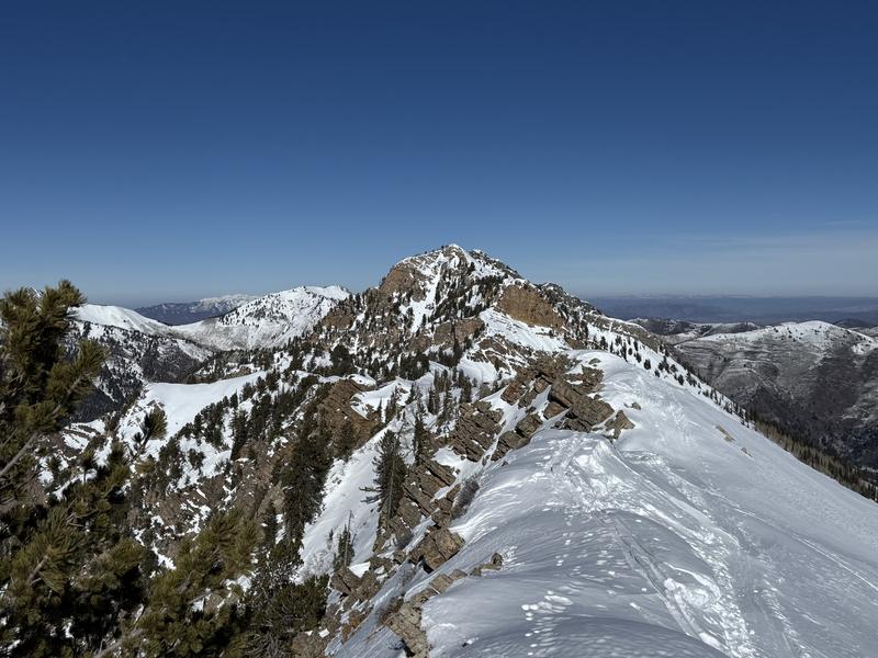 Observation: Cardiff/Mineral - Utah Avalanche Center