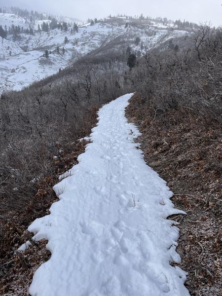 Observation: Rodeo Ridge - Utah Avalanche Center
