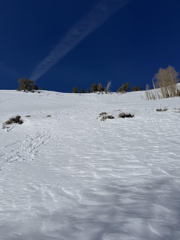 Observation: Guardsman Pass area - Utah Avalanche Center