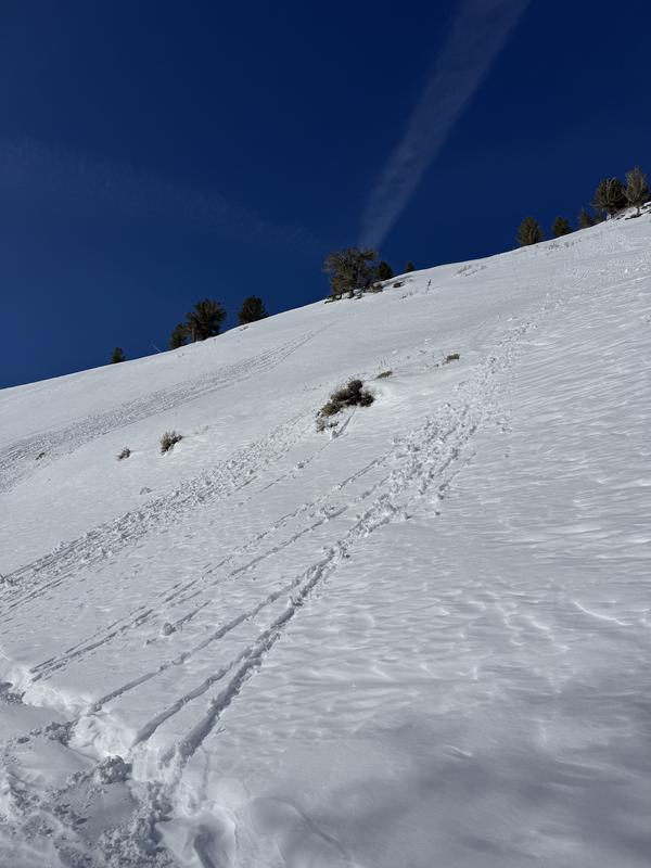 Observation: Guardsman Pass area - Utah Avalanche Center