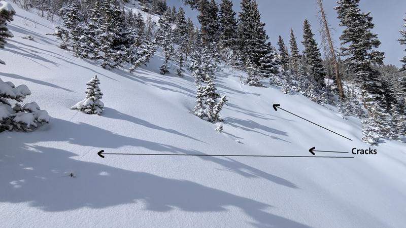 Observation: Gold Basin - Utah Avalanche Center