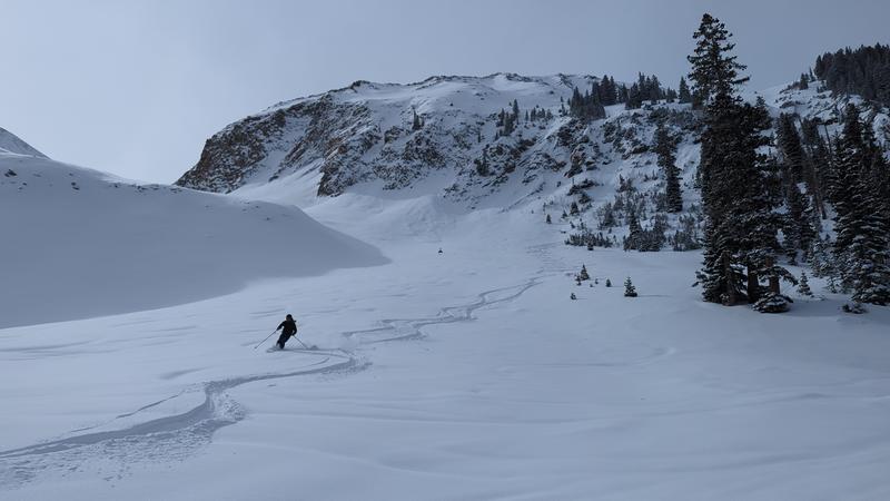 Observation: Gold Basin - Utah Avalanche Center