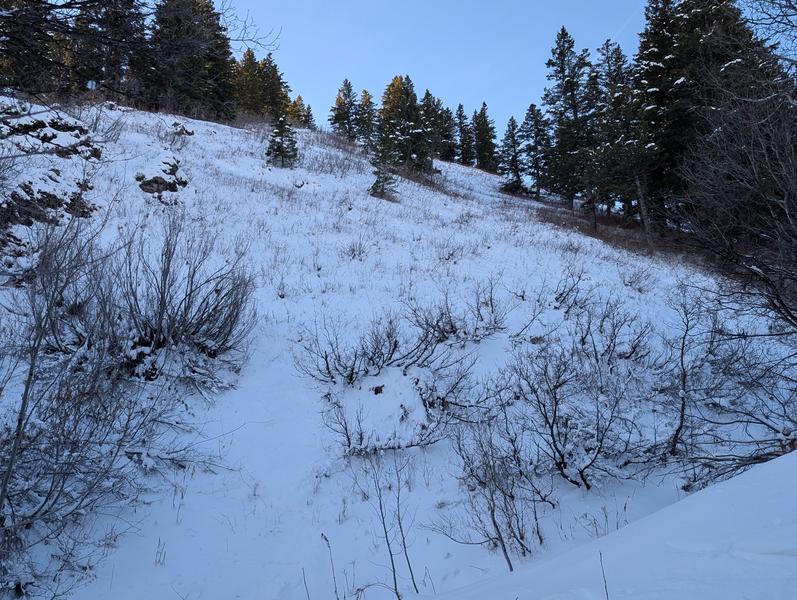 Observation: Cutler Ridge - Utah Avalanche Center