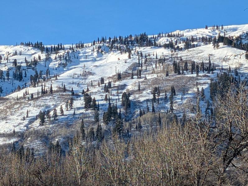 Observation: Cutler Ridge - Utah Avalanche Center