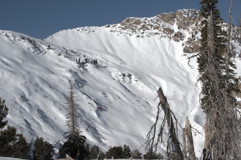 Observation: Cutler Ridge - Utah Avalanche Center