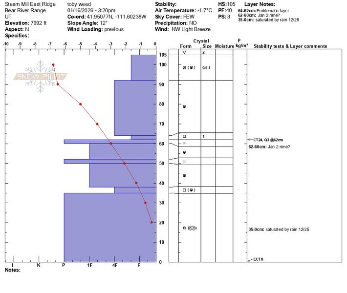 Observation: Steam Mill Peak - Utah Avalanche Center