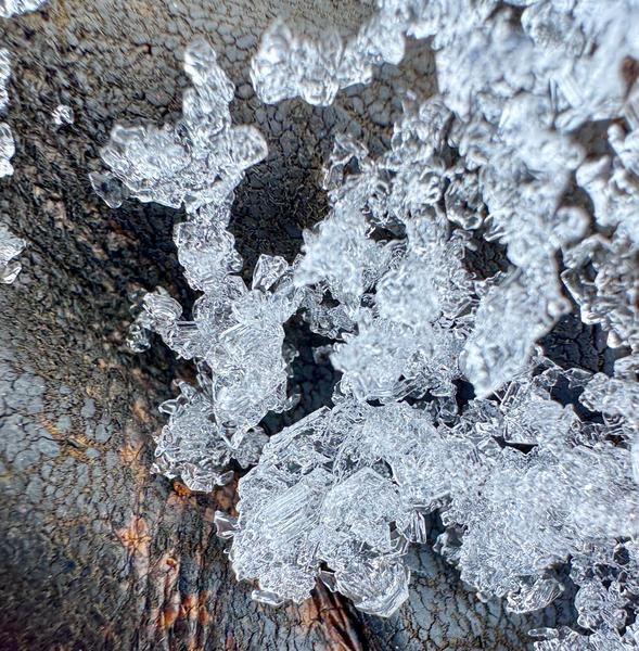 Observation: Soapstone - Utah Avalanche Center