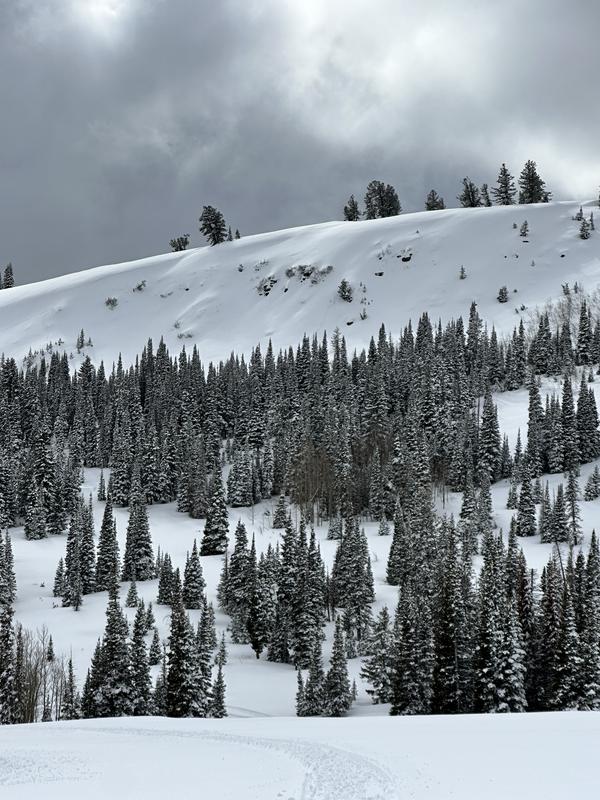 Observation: Whiskey Hill - Utah Avalanche Center