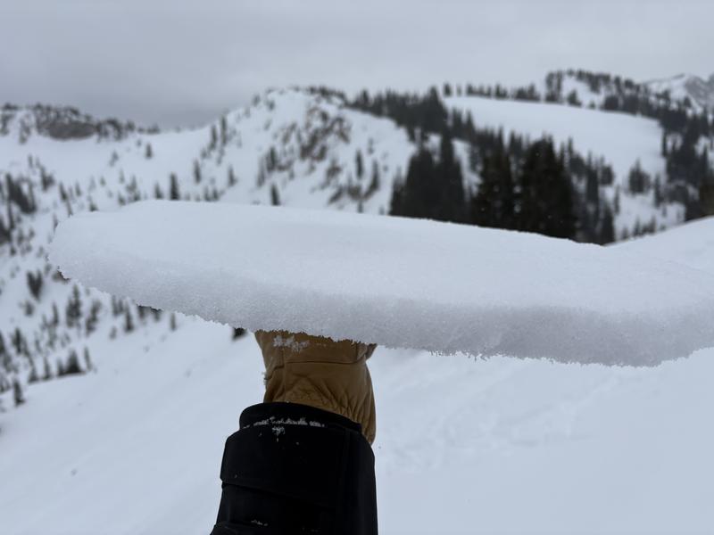 Observation: Tuscarora - Utah Avalanche Center