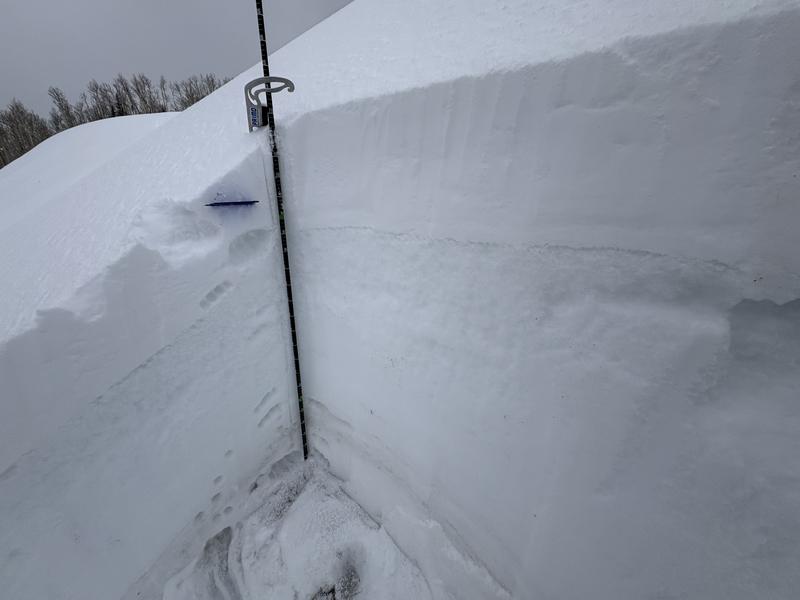 Observation: West Desolation Ridge - Utah Avalanche Center