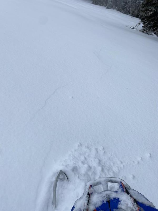 Observation: Peter Sinks - Utah Avalanche Center